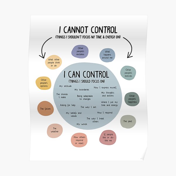 "Things I can and can't control" Poster for Sale by lightsaltdesign ...