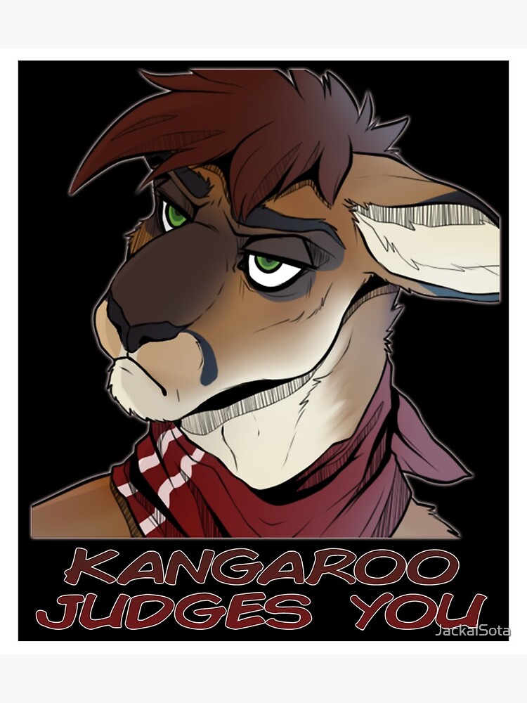 "KANGAROO JUDGES YOU!" Photographic Print for Sale by JackalSota ...