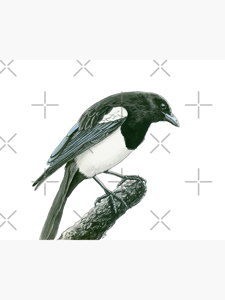 "Magpie ink painting" Art Print for Sale by katerinamk | Redbubble