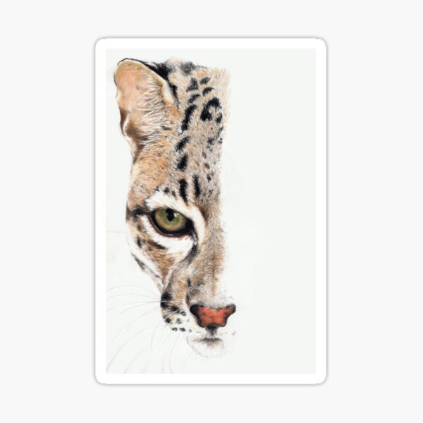 "Ocelot" Sticker for Sale by Glowfactor | Redbubble