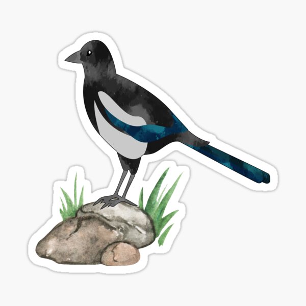 "Cute Magpie" Sticker for Sale by virillanissa | Redbubble