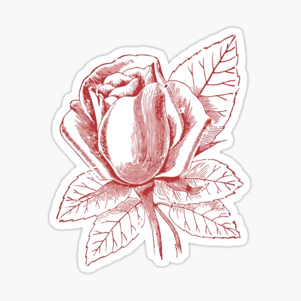 "Rose Flower design" Sticker for Sale by LoganJohnR | Redbubble