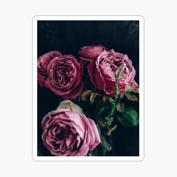 "Pink flowers" Sticker for Sale by Acreatess | Redbubble