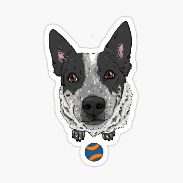 "Cattle Dog Fetch, by Artwork by AK" Sticker for Sale by artworkbyak ...