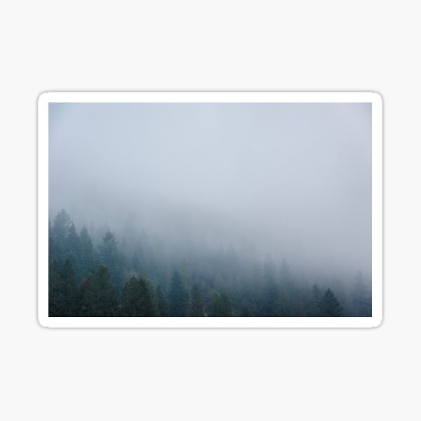 "The Forest Through The Fog" Sticker for Sale by pmcmanndesign | Redbubble