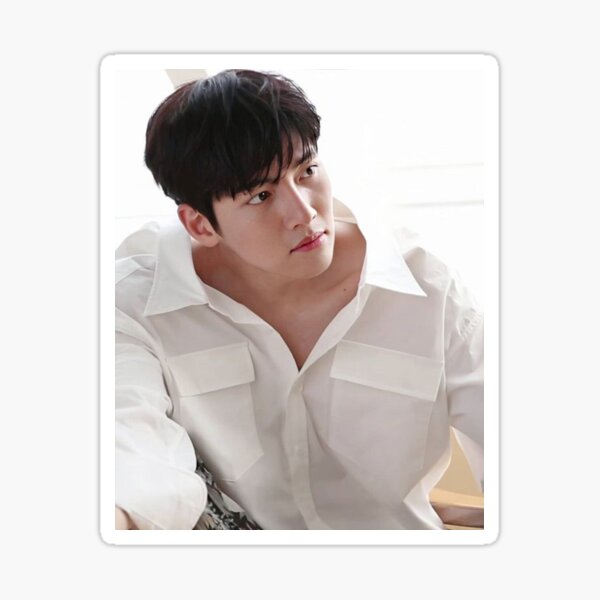 "Ji Chang Wook" Sticker for Sale by Sherinna6 | Redbubble