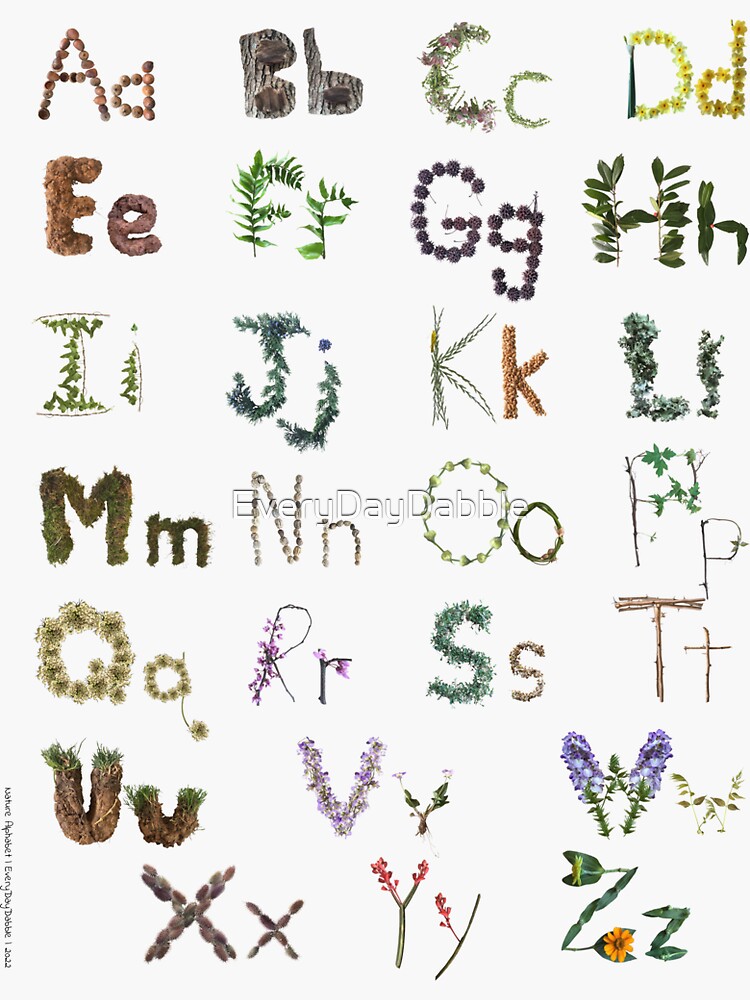 "Nature Alphabet of Seeds, Plants & Flowers. Woodland ABC | Natural ...