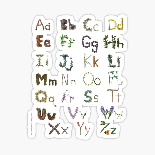 "Nature Alphabet of Seeds, Plants & Flowers. Woodland ABC | Natural ...