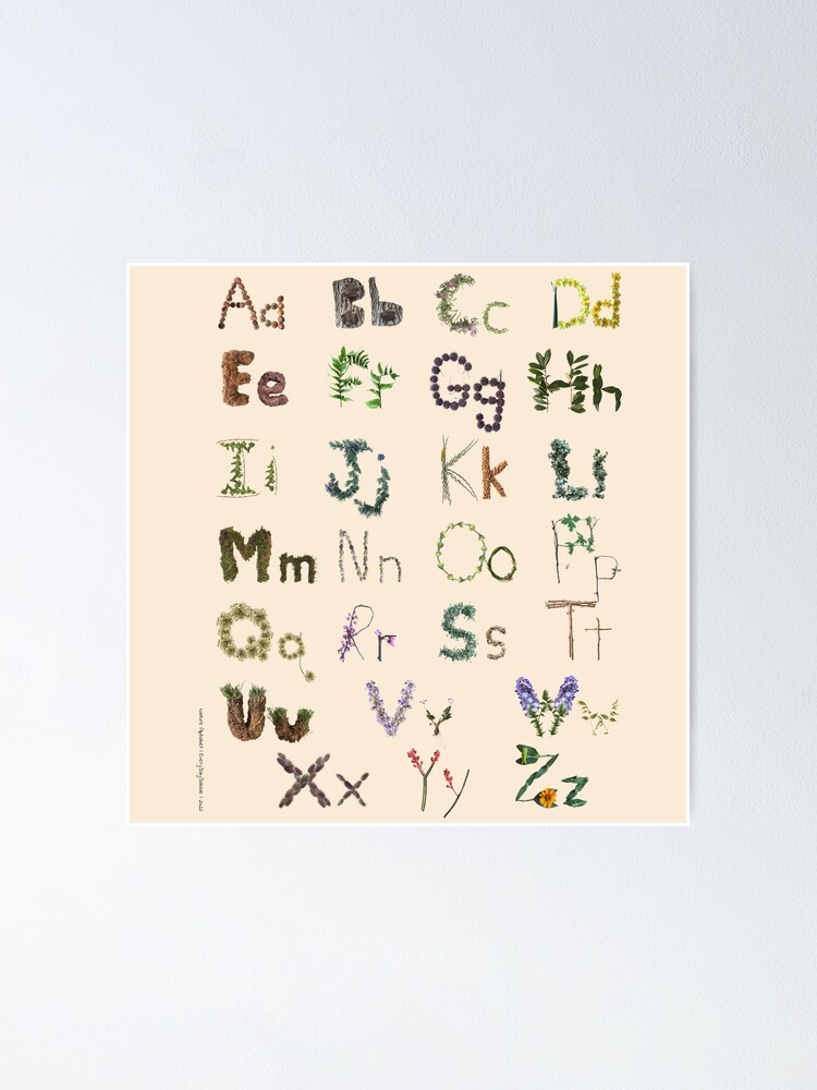 "Nature Alphabet of Seeds, Plants & Flowers. Woodland ABC | Natural ...