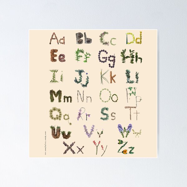 "Nature Alphabet of Seeds, Plants & Flowers. Woodland ABC | Natural ...