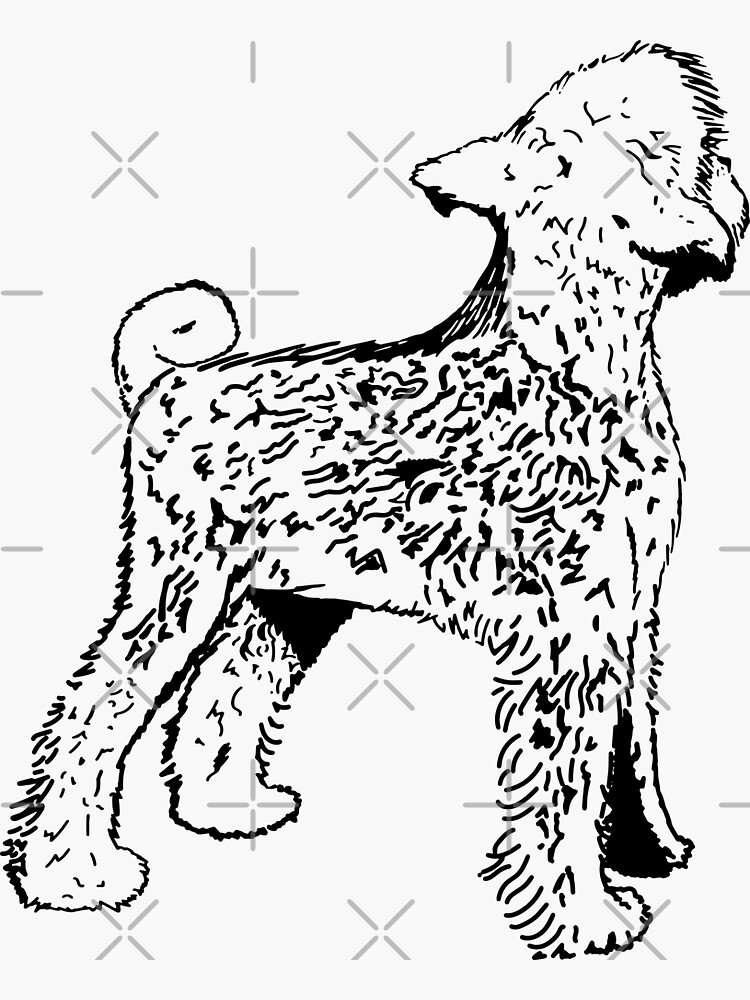 "Look Up" Sticker for Sale by Leucadienne | Redbubble