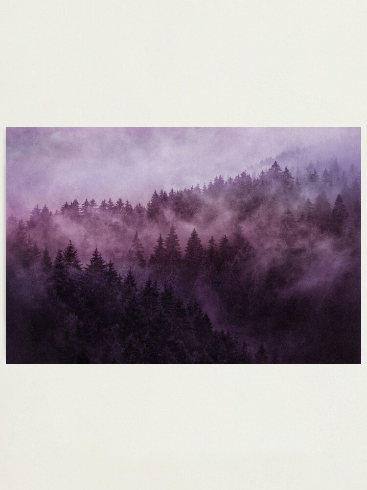 "Excuse Me, I'm Lost // Laid Back In A Misty Foggy Raspberry Wilderness ...