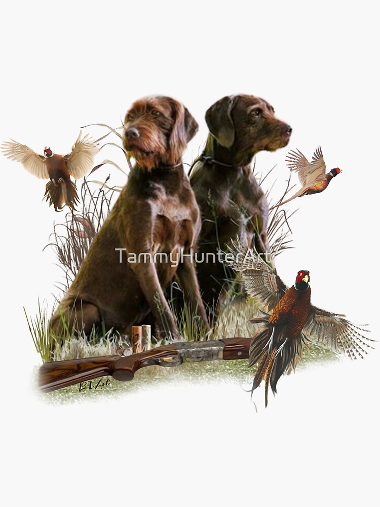 "Pudelpointers, Hunting pheasant" Sticker for Sale by TammyHunterArt ...