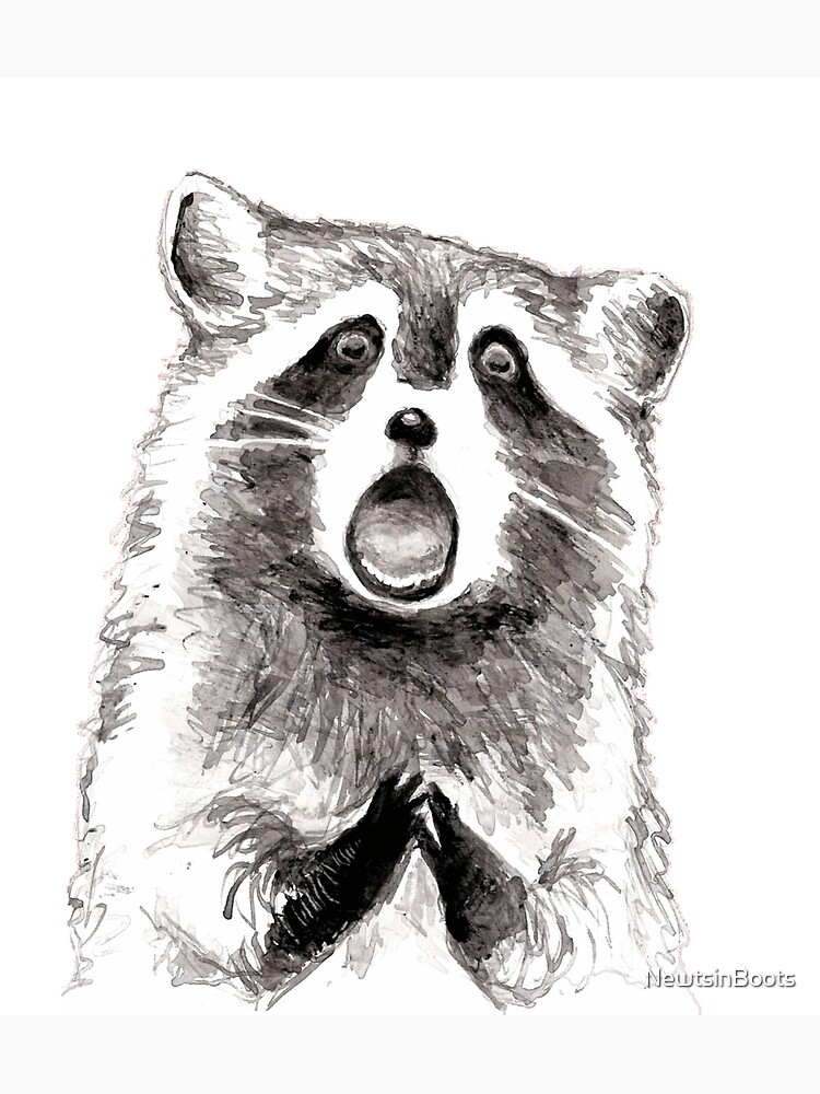 "Scared Raccoon" Poster for Sale by NewtsinBoots | Redbubble