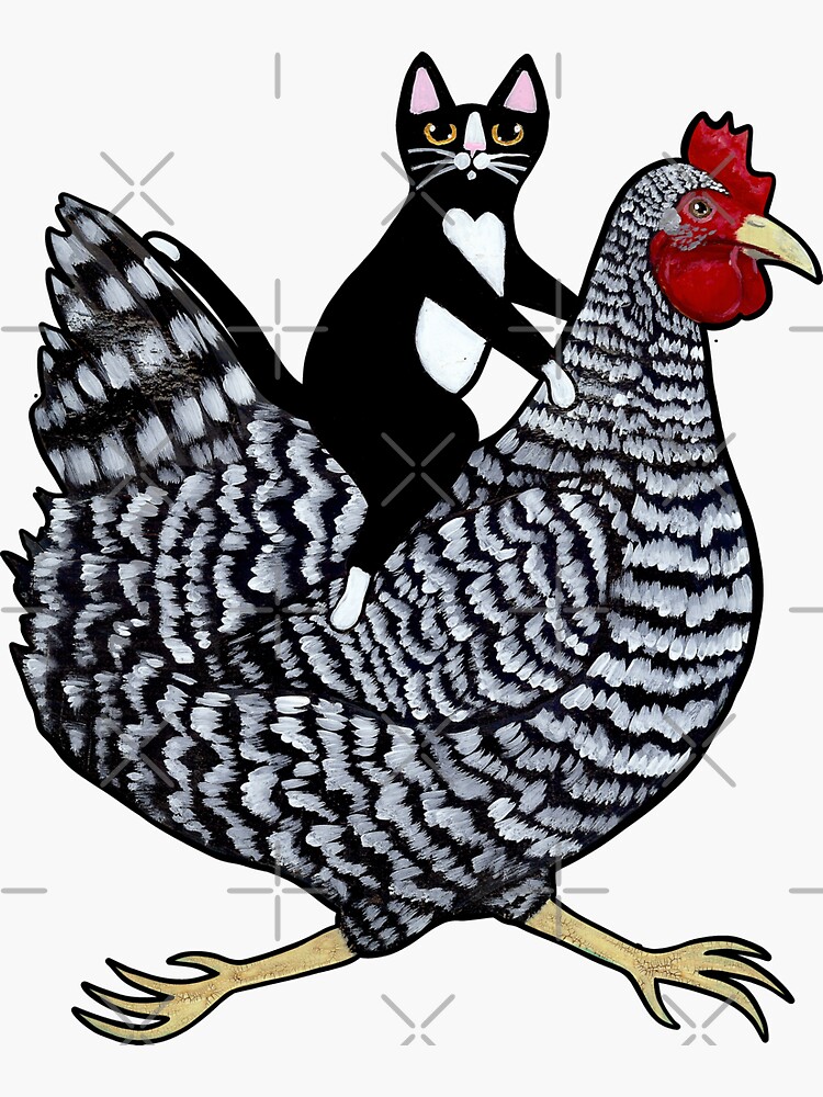 "Cat Riding a Chicken" Sticker for Sale by kilkennycat | Redbubble