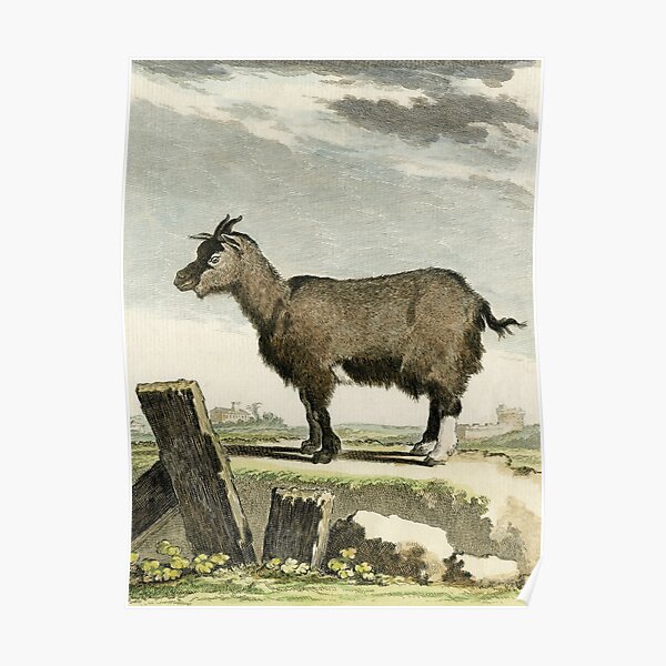 "Judah goat in 18th century engraving" Poster for Sale by TerenceKerr ...