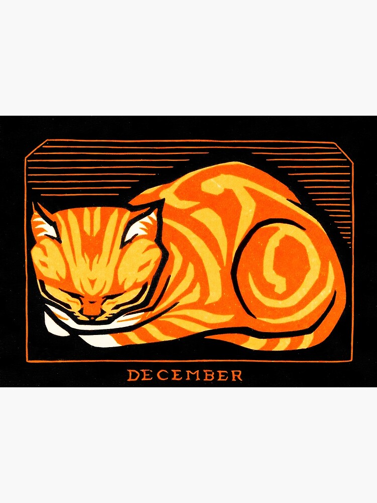 "December Cat" Photographic Print for Sale by Kyivite | Redbubble