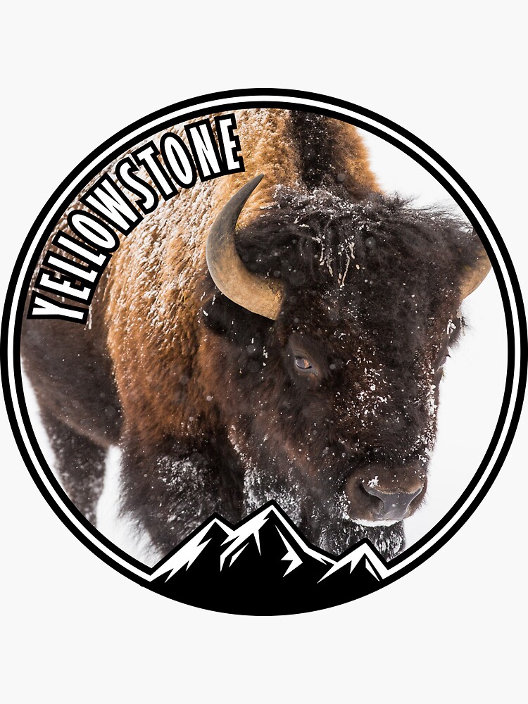 "Yellowstone Buffalo" Sticker for Sale by OurWindowWorld | Redbubble