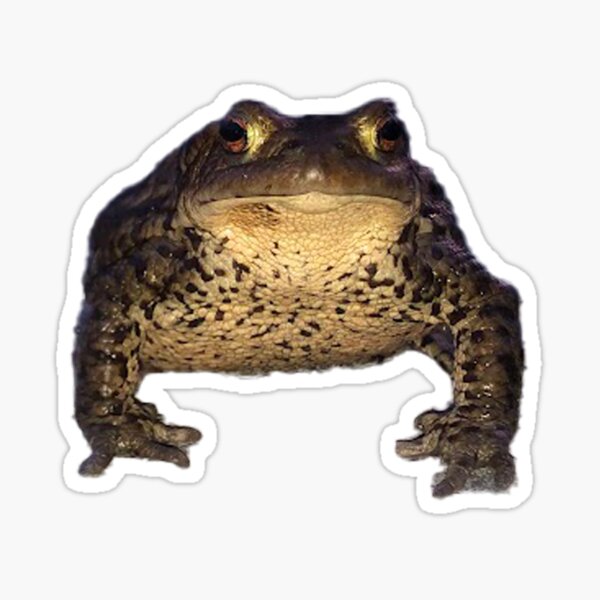 "Toad" Sticker for Sale by Eymirart | Redbubble