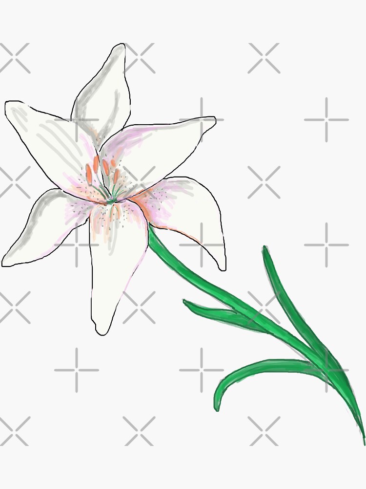 "White Lily Flower" Sticker for Sale by SpaceTigerStuff | Redbubble