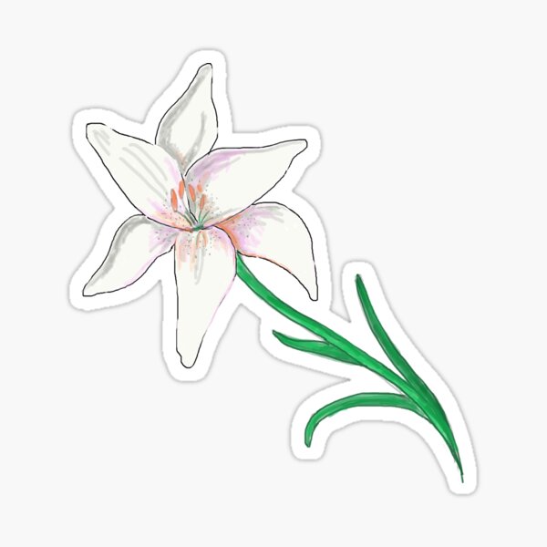 "White Lily Flower" Sticker for Sale by SpaceTigerStuff | Redbubble