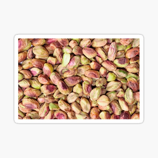 "Pistachio" Sticker for Sale by pinkal | Redbubble