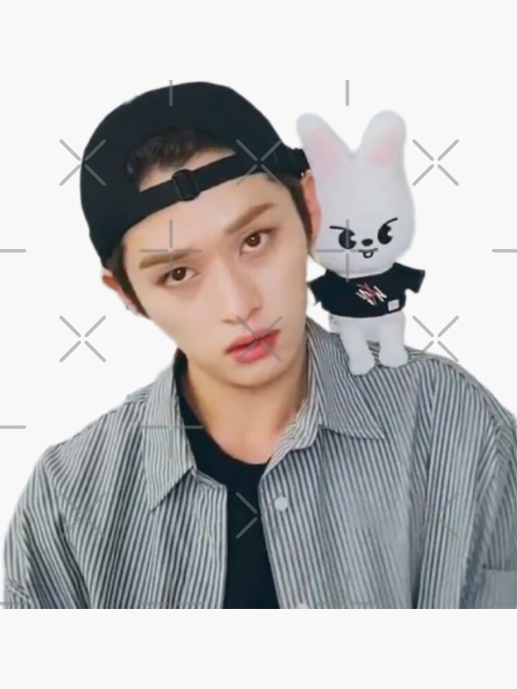 "Lee Know funny meme - STRAY KIDS skz" Sticker for Sale by Monahh98 ...