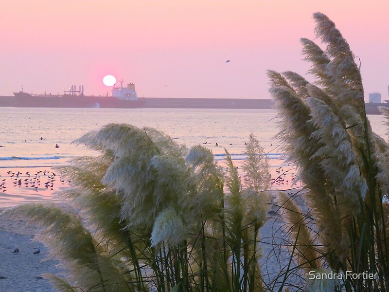 "In Shades of Pink" by Sandra Fortier | Redbubble