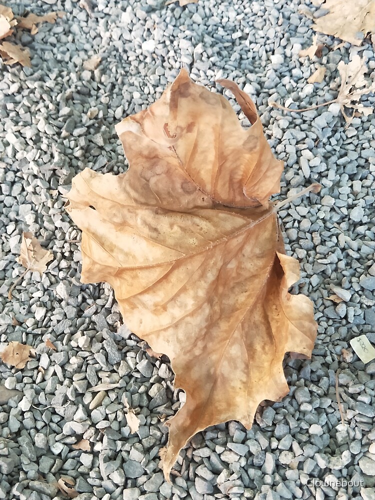 "Harsh Summer" Sticker for Sale by Clownabout | Redbubble