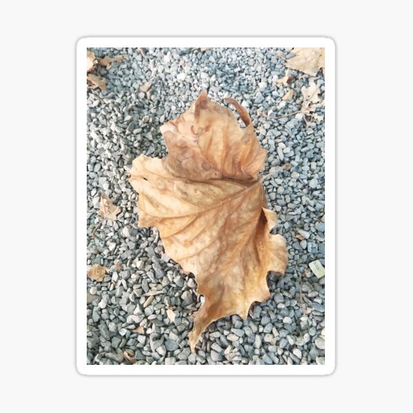 "Harsh Summer" Sticker for Sale by Clownabout | Redbubble