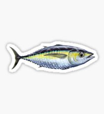 Yellowfin Tuna: Stickers | Redbubble