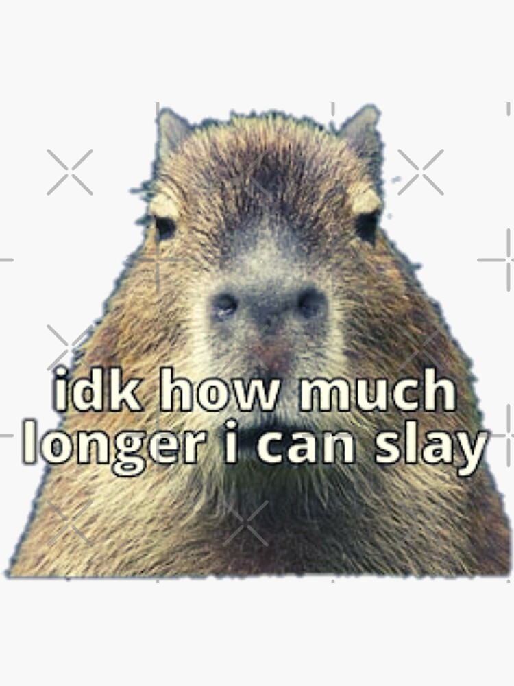 "Idk How Much Longer I Can Slay Capybara Sarcastic Dank Meme Quote ...