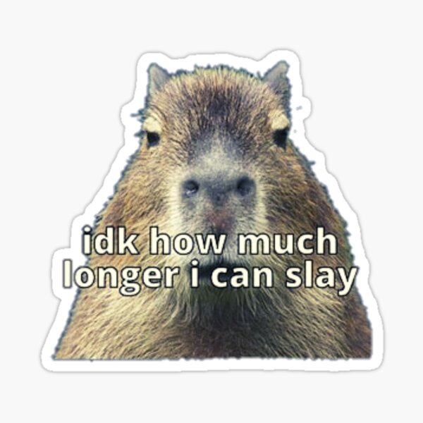 "Idk How Much Longer I Can Slay Capybara Sarcastic Dank Meme Quote ...