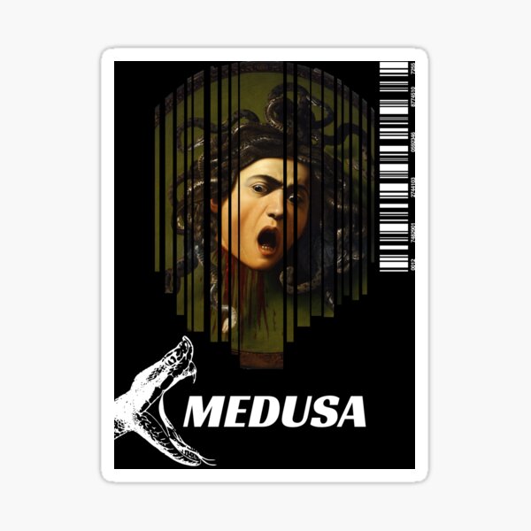 "Medusa" Sticker for Sale by DSxMoon | Redbubble