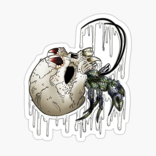 "Demon Skull Hermit Crab:Ooze" Sticker for Sale by iduzarts | Redbubble
