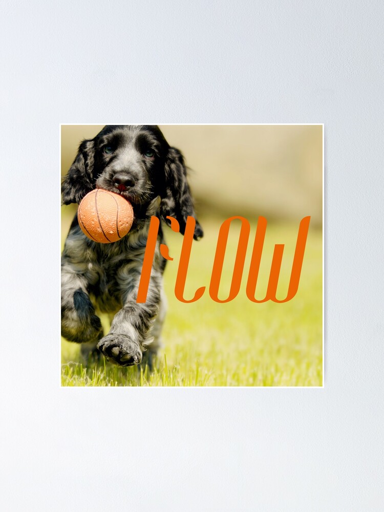 "Perro Flow " Poster for Sale by BackroomArt | Redbubble