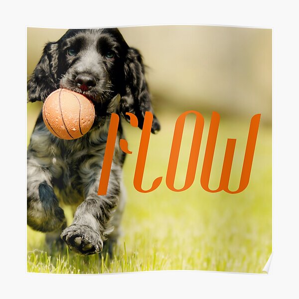 "Perro Flow " Poster for Sale by BackroomArt | Redbubble