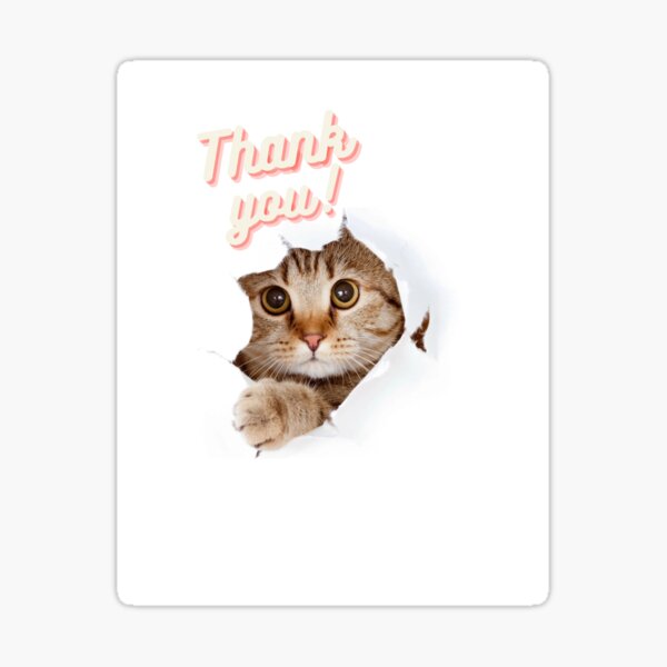 "A Thank You Kitty" Sticker for Sale by Lynnsan82 | Redbubble