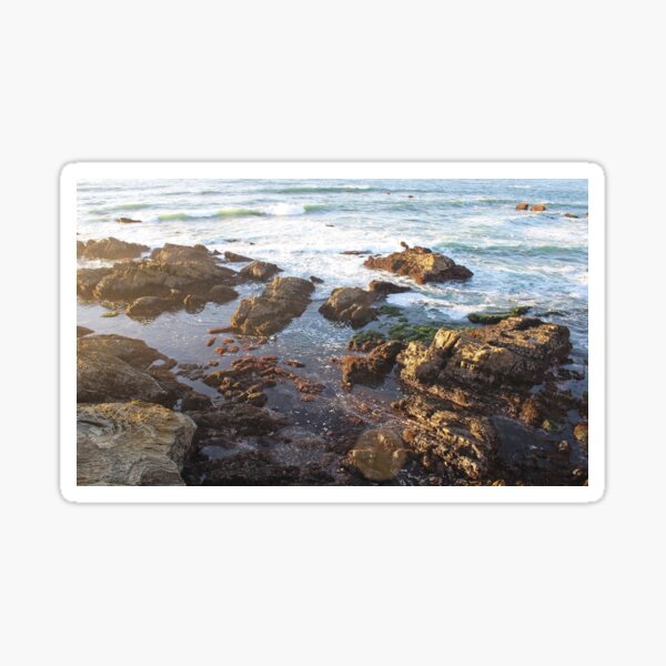 "Natural Beauty at Low Tide" Sticker for Sale by michaelrock | Redbubble