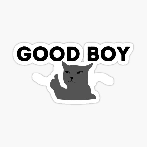 "Good Boy" Sticker for Sale by sonicpanther | Redbubble