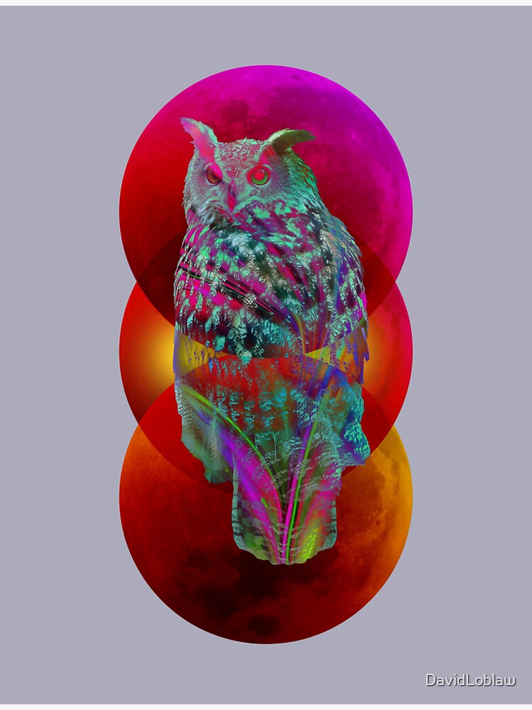 "Spirit Moon Owl " Sticker for Sale by DavidLoblaw | Redbubble