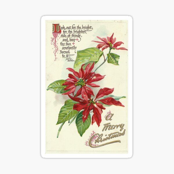 "Merry Christmas Poinsettias Vintage Christmas Card" Sticker for Sale by RadStripes | Redbubble