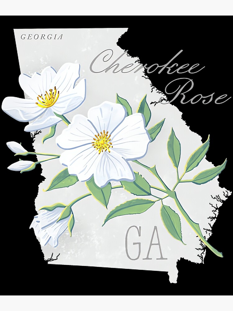 "georgia state flower cherokee rose art by jen montgomery jen ...