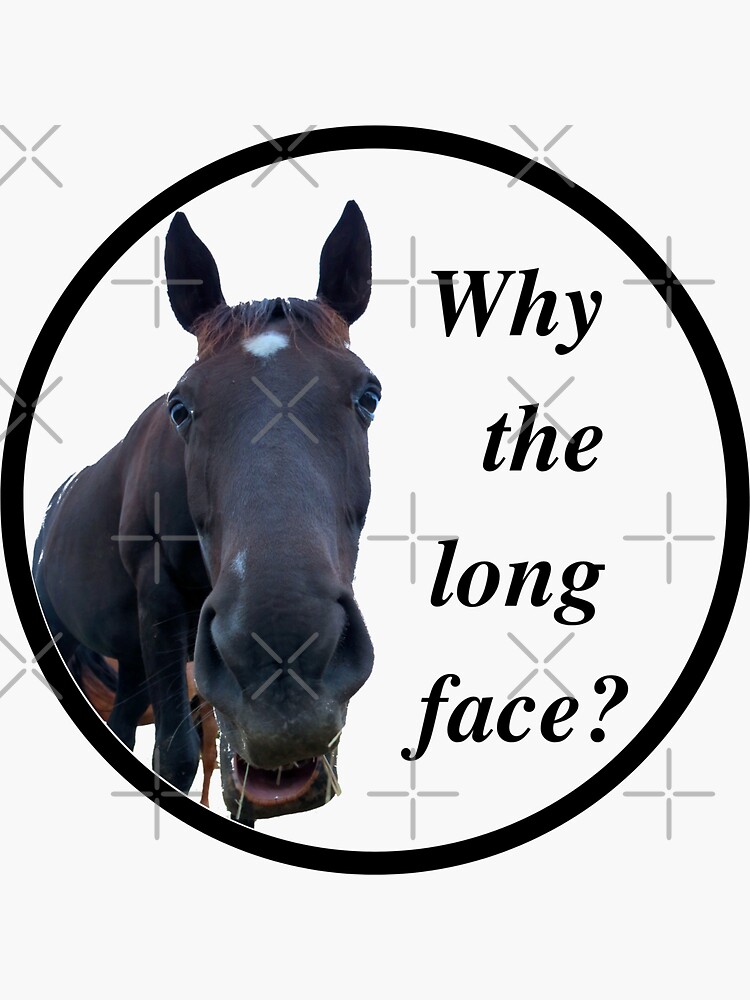 "Why the long face funny horse" Sticker for Sale by Finn19 | Redbubble
