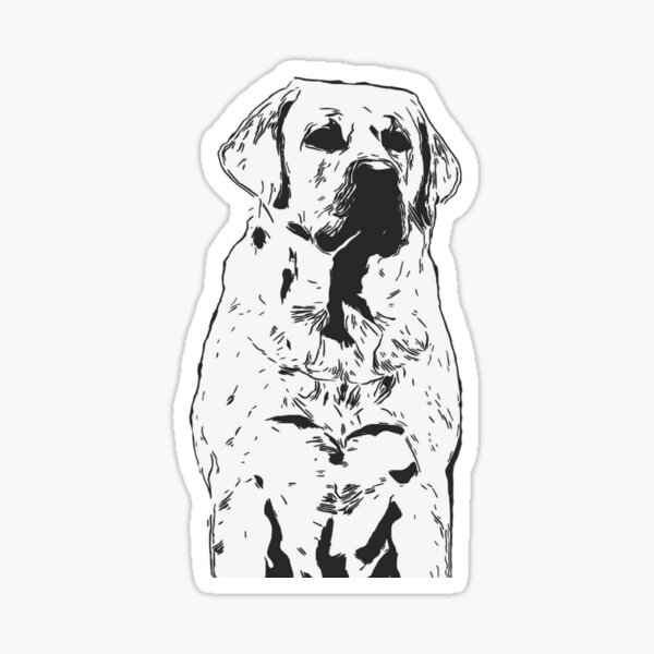 "English Labrador Breeders, Lab Stickers, Labrador Stickers ...