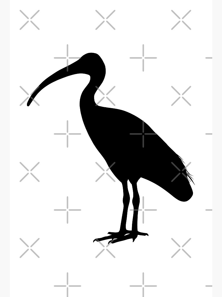 "Silhouette Bin Chicken" Poster for Sale by BinChickenBaby | Redbubble
