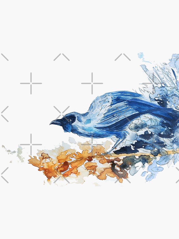 "Curious Kokako Bird Watercolour Art" Sticker for Sale by Calistera ...