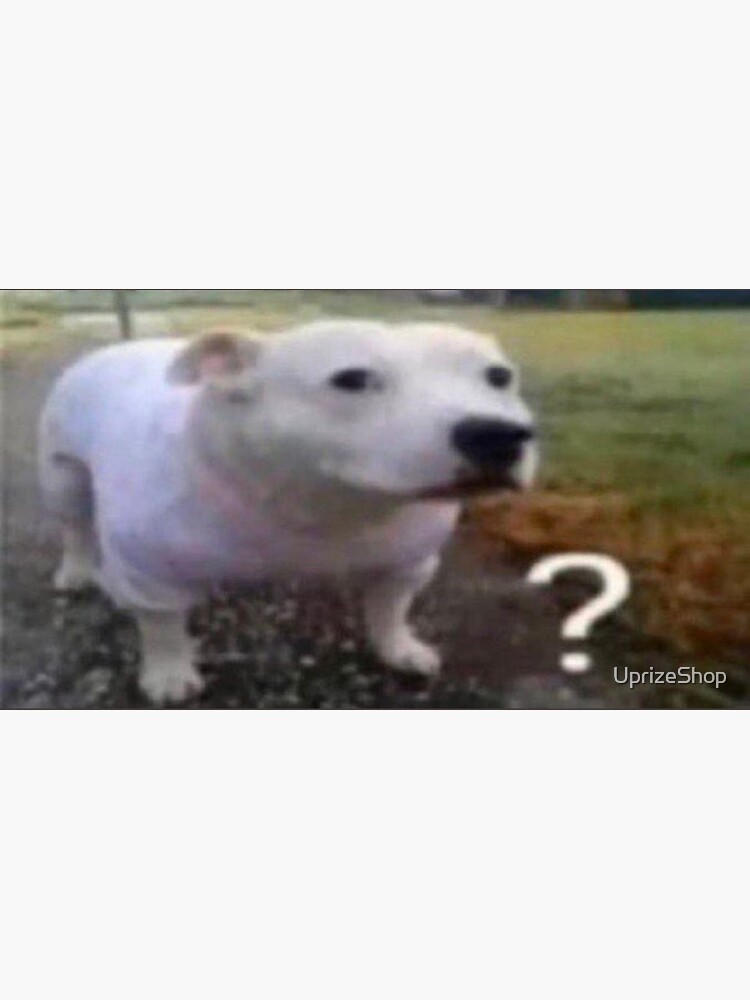 "Dog Question Mark Meme Funny Sticker Shirt" Greeting Card by ...