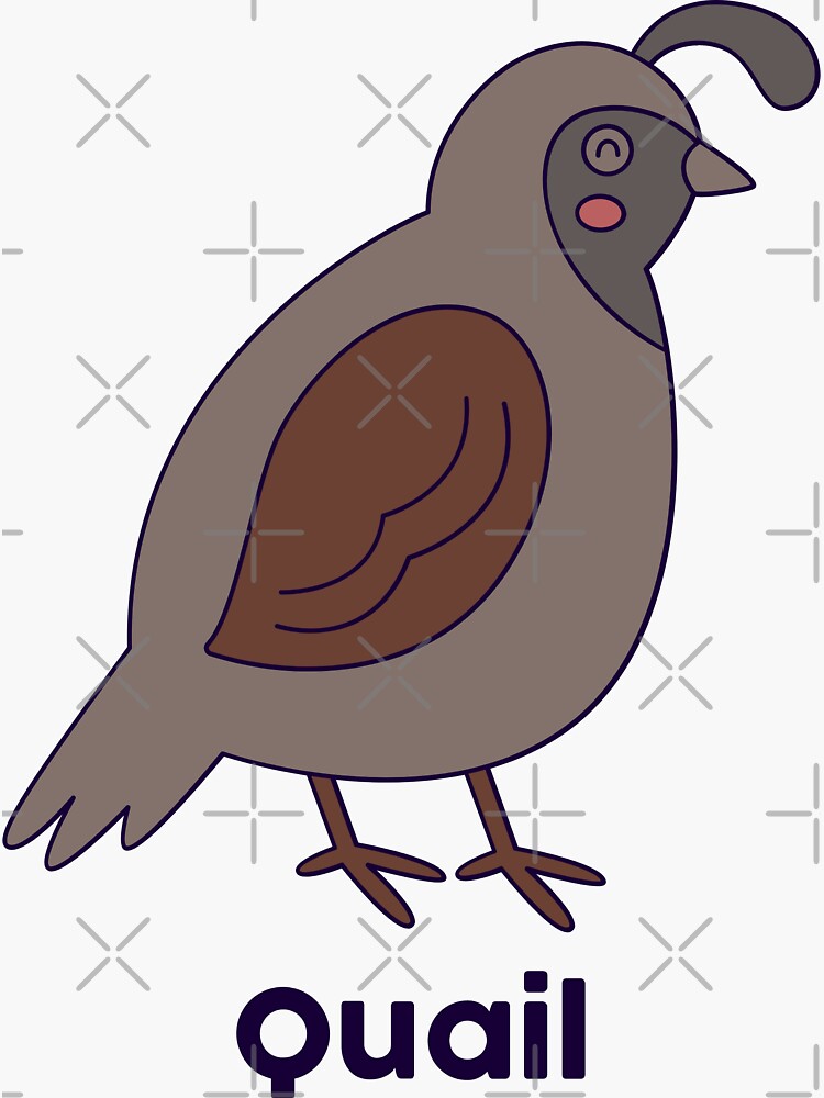 "quail" Sticker for Sale by Animster | Redbubble