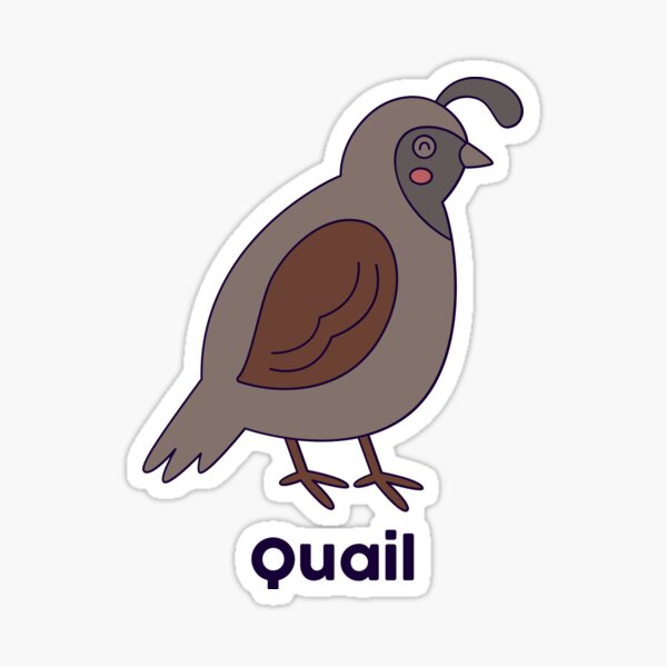 "quail" Sticker for Sale by Animster | Redbubble